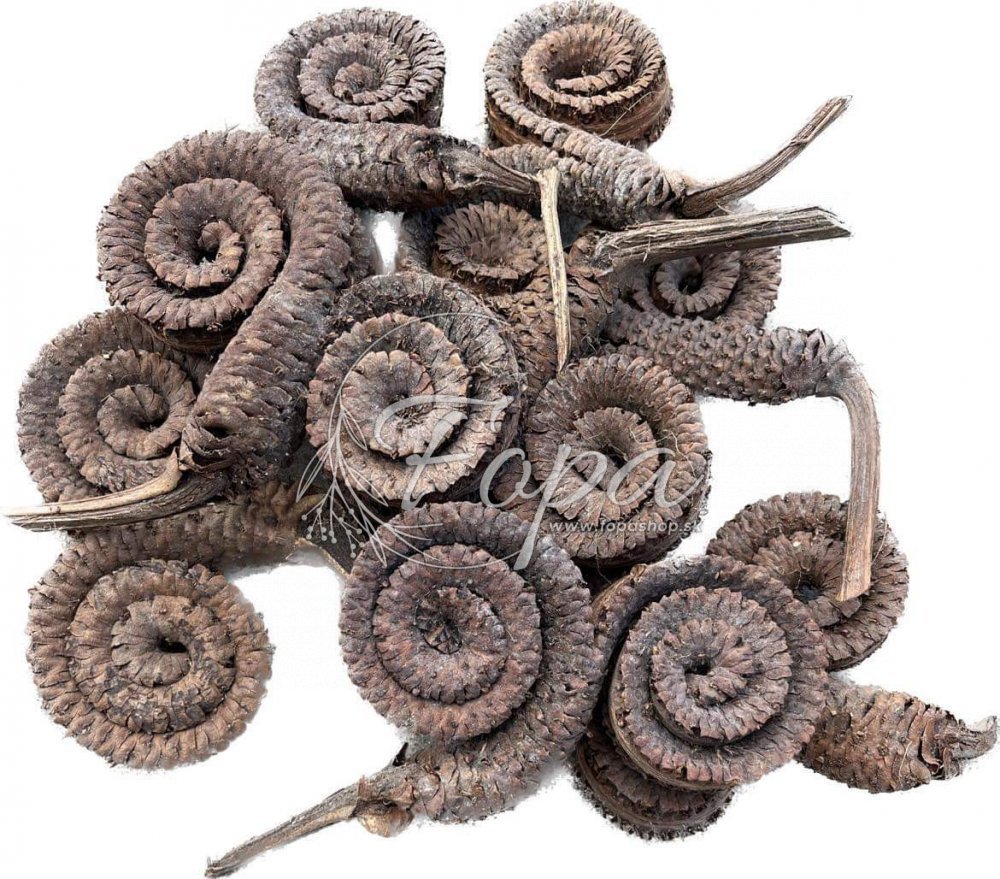 Sušina - baranie rohy natur 0,50kg/balenie :: www.fopashop.sk